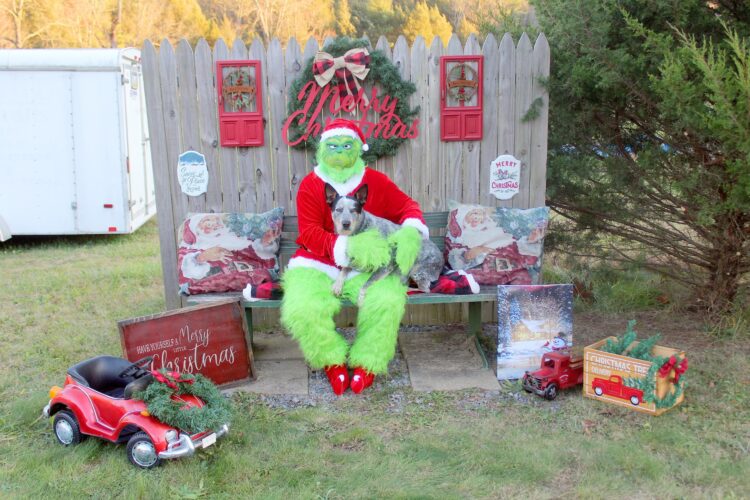 Holiday display to feature ‘Grinch’ | News, Sports, Jobs - The Sentinel